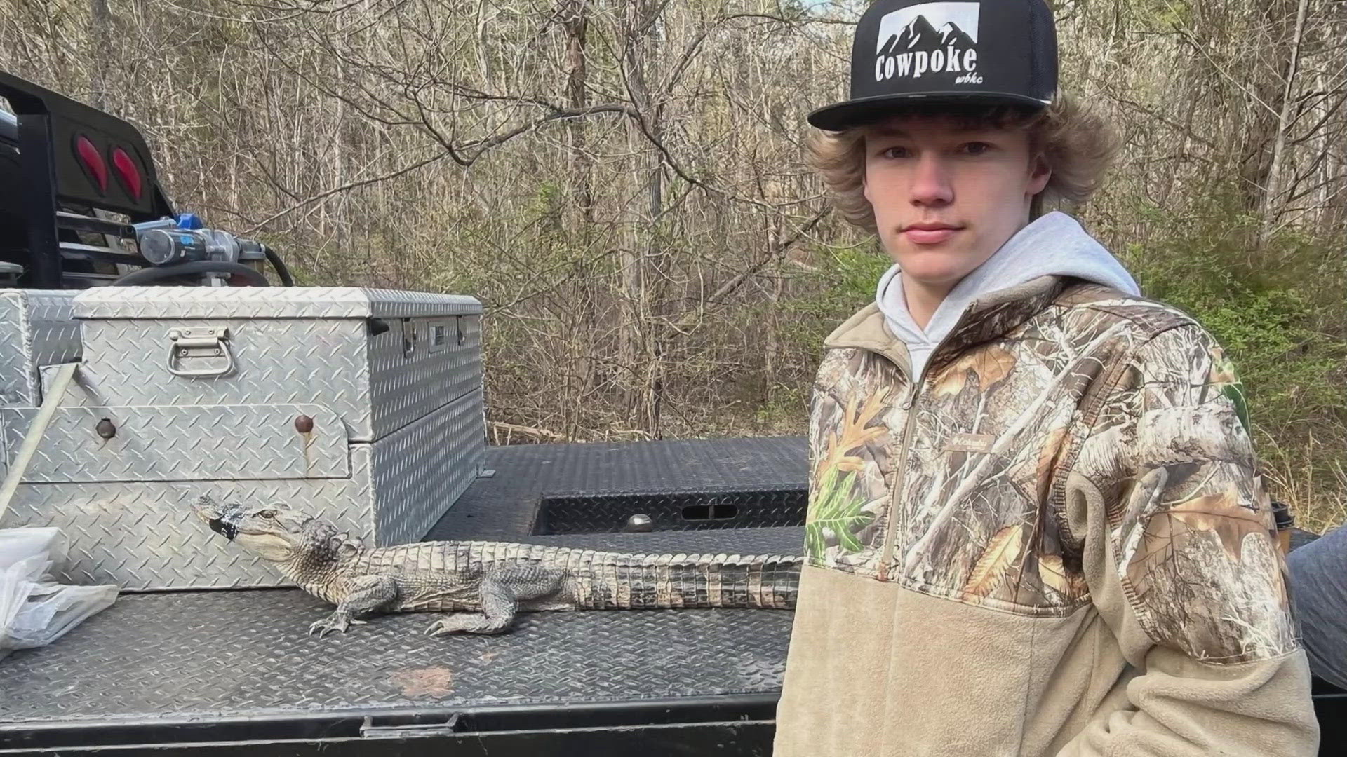 East Tennessee woman takes alligator on 700-mile road trip | wbir.com