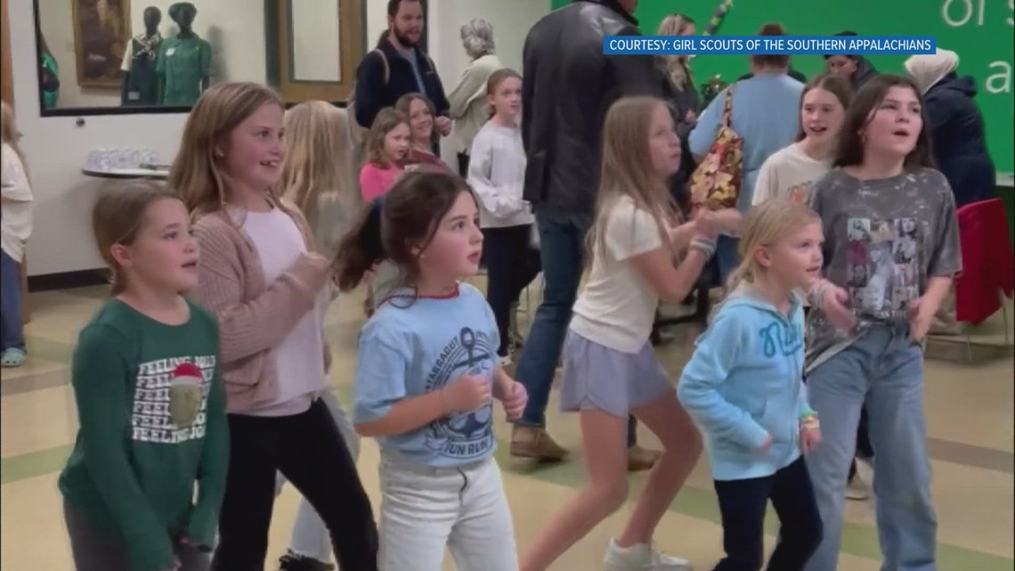 Leaders of Girl Scouts are looking to celebrate for Scout Taylor Swift ...