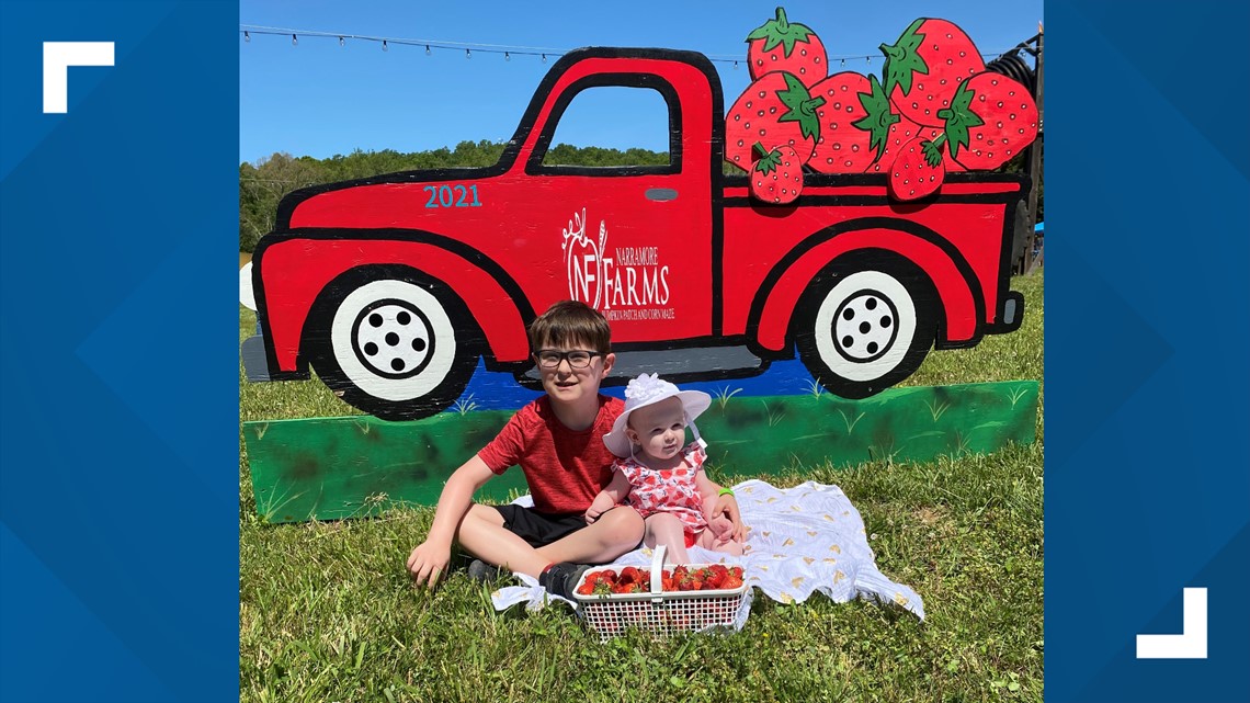 10 About Town: Narramore Farms celebrates summer with strawberry ...