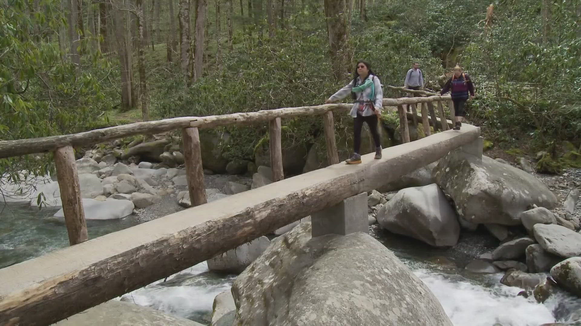 Several campgrounds face extended closures in the Great Smoky Mountains ...