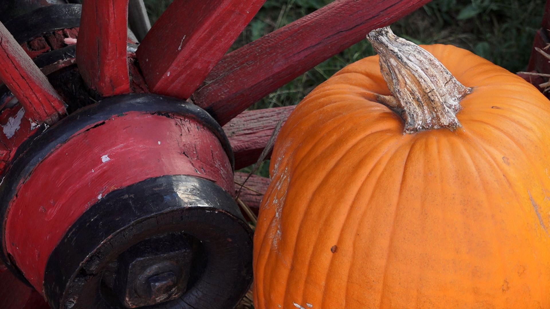 Walker sisters of Smokies gave thanks for pumpkins | wbir.com