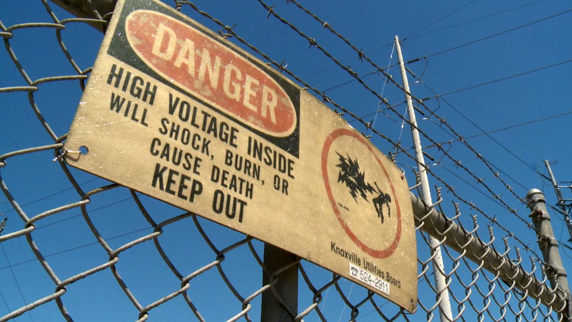 Utility companies combat power-hungry animals | wbir.com