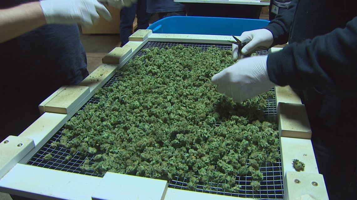 The marijuana industry is the fastest growing job category in the U.S ...