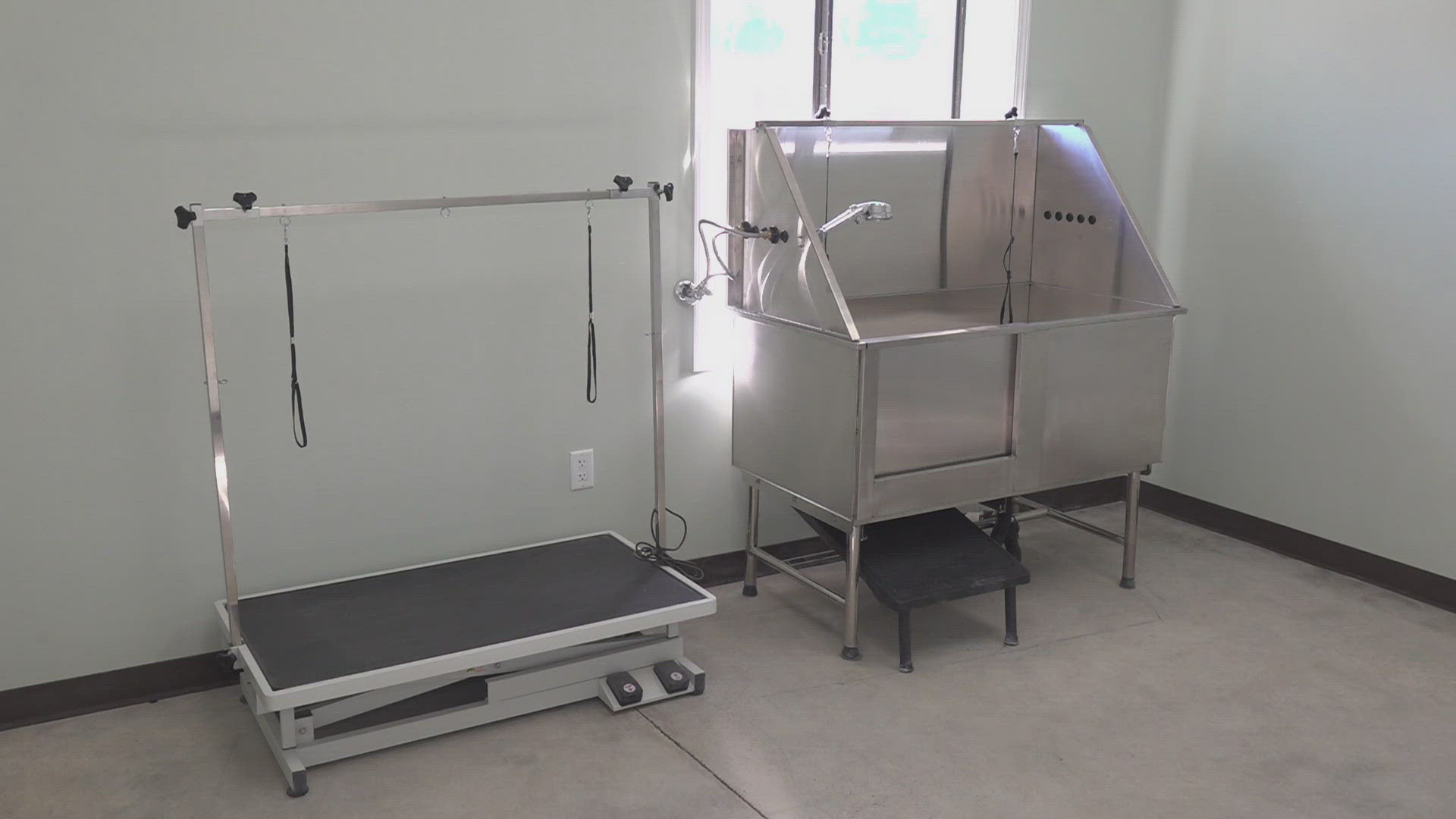 Unicoi County Animal Shelter nears reopening after Hurricane Helene ...