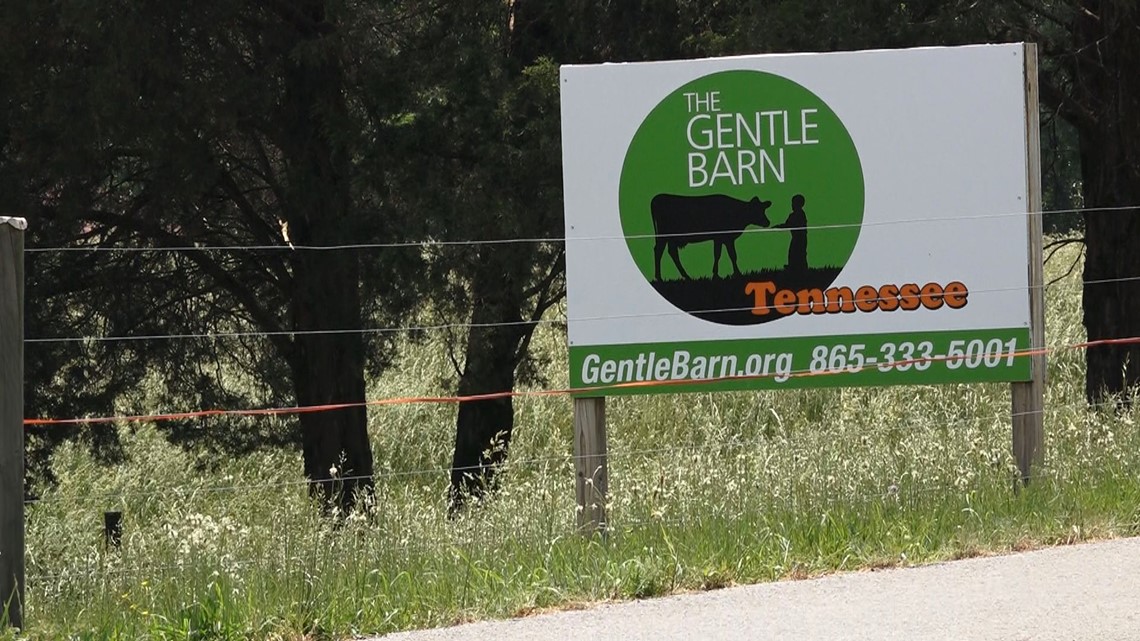 Dozens visit The Gentle Barn on its last day in East Tennessee | wbir.com