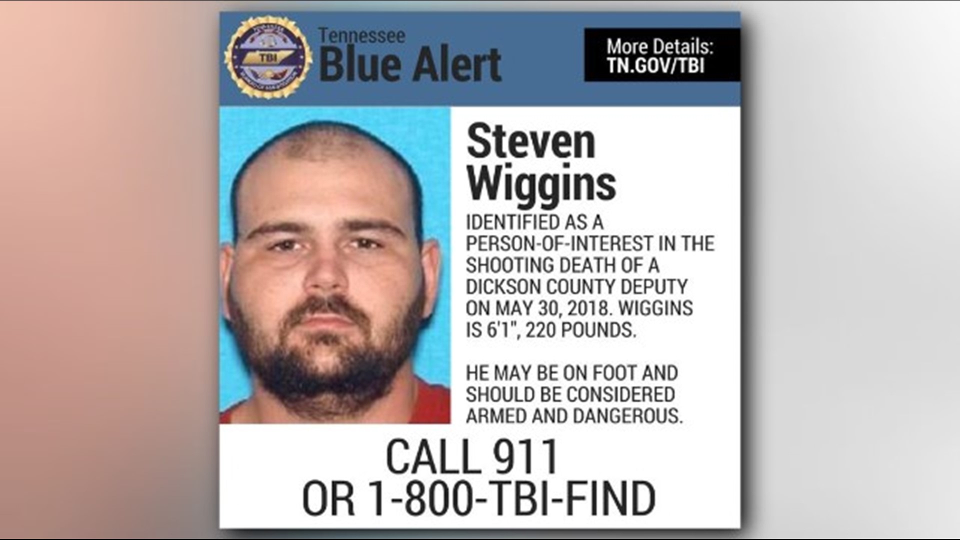 Court documents: Woman watched Steven Wiggins fatally shoot Dickson Co ...