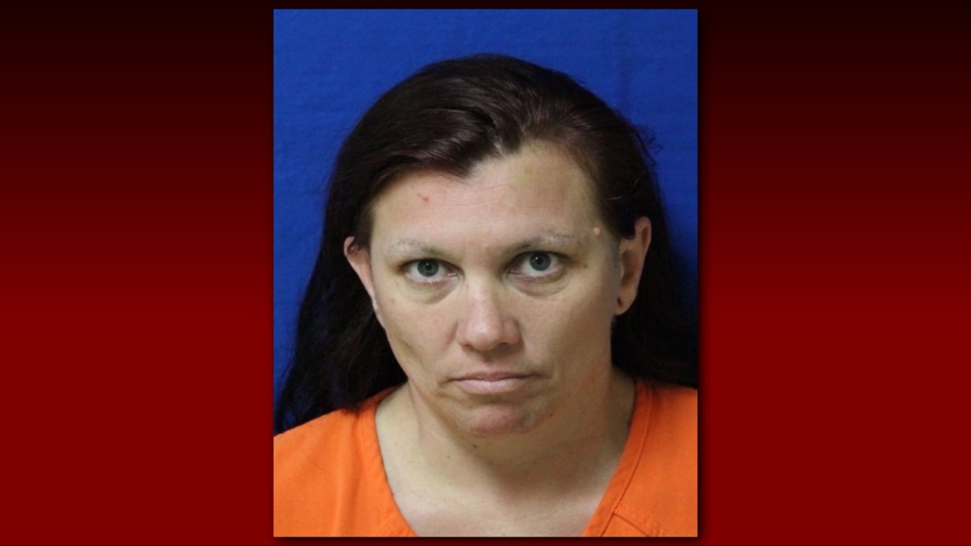 Steven Wiggins in Davidson County jail, state seeking death penalty ...