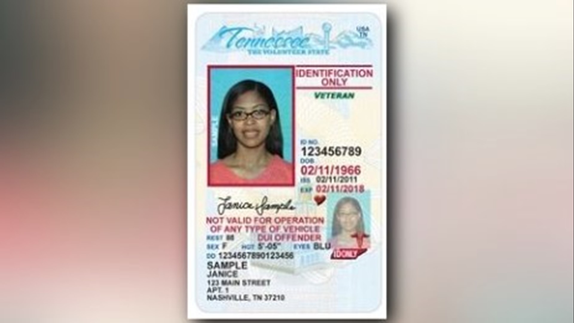 Tennessee rolls out vertical licenses for people under legal drinking ...