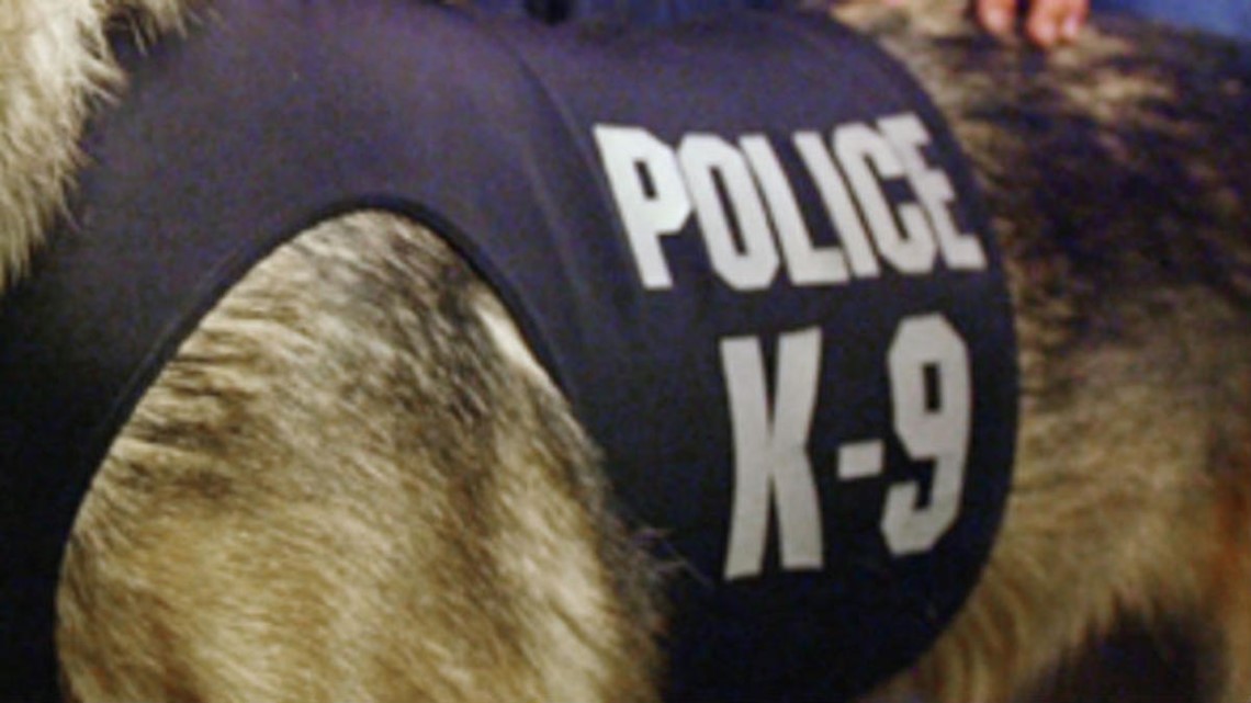 Son raising money for KCSO K-9 vests in honor of father | wbir.com
