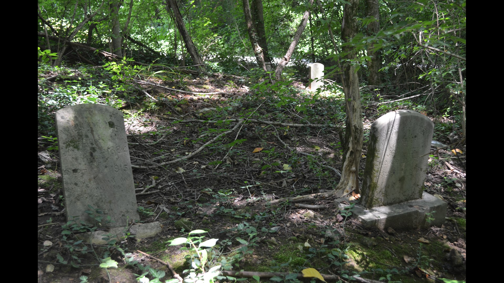 Hidden in plain sight: Historic cemetery with thousands of graves falls ...