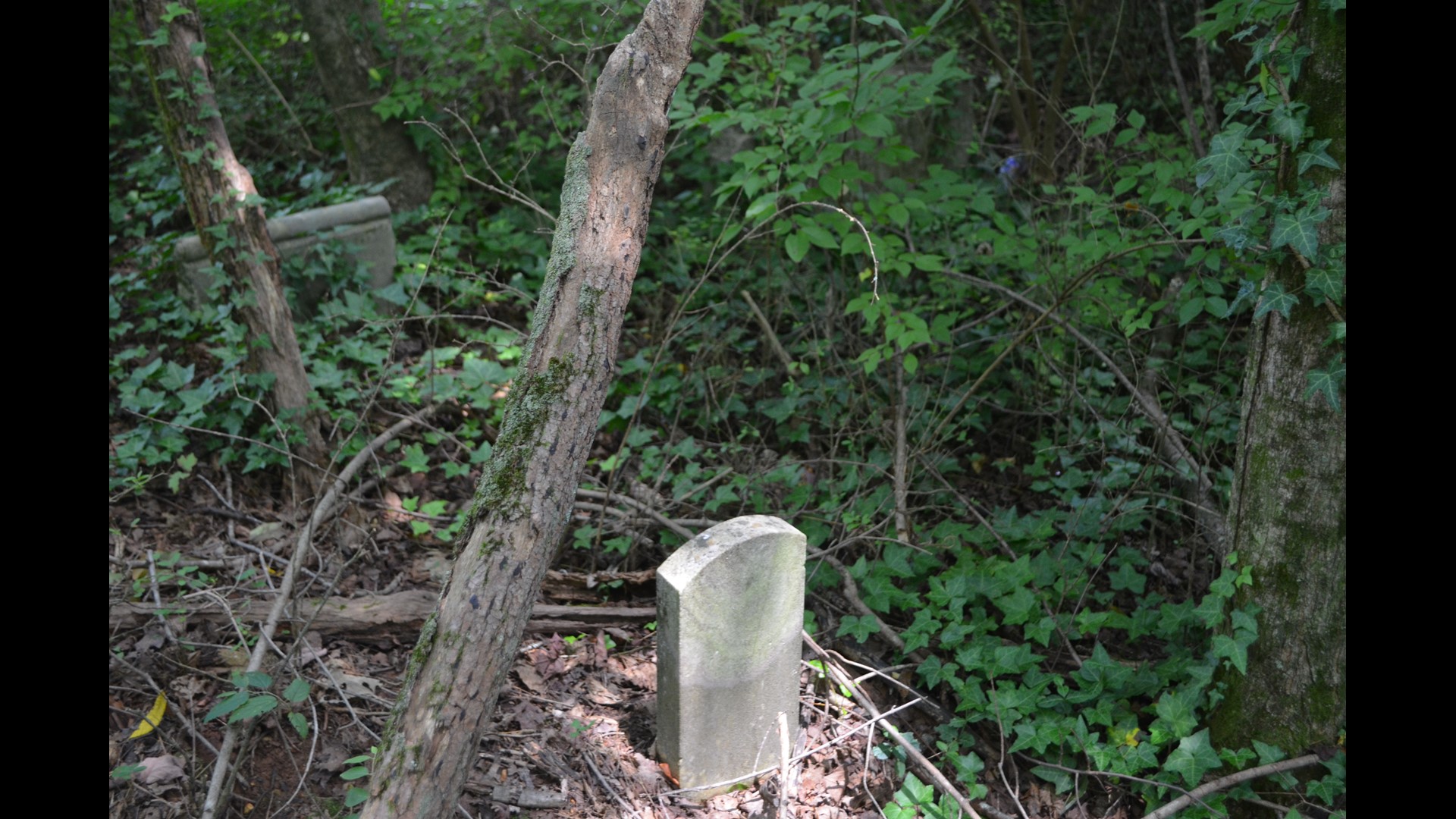 Hidden in plain sight: Historic cemetery with thousands of graves falls ...