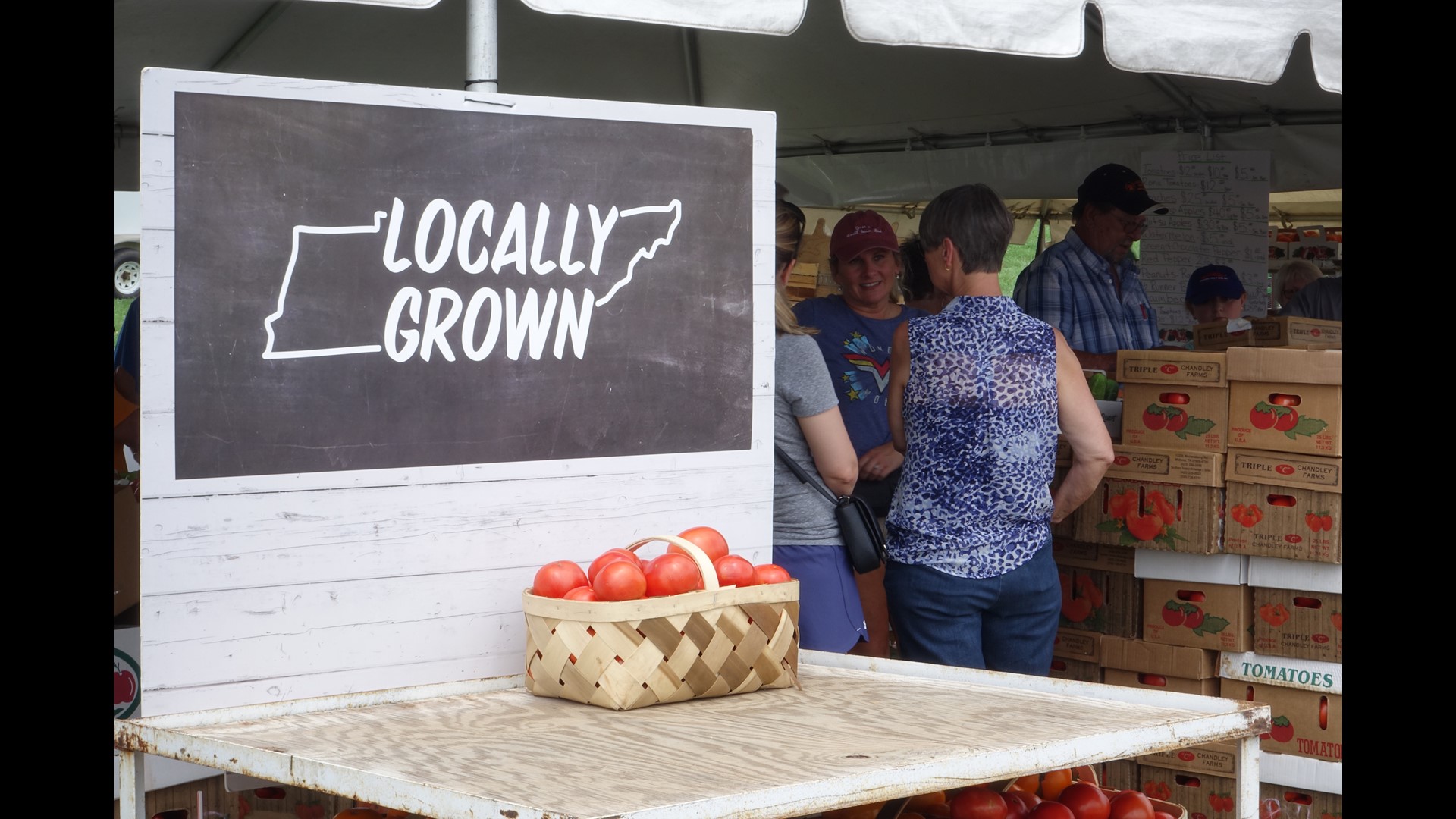 Maters, music and the infamous tomato wars at the annual Grainger ...