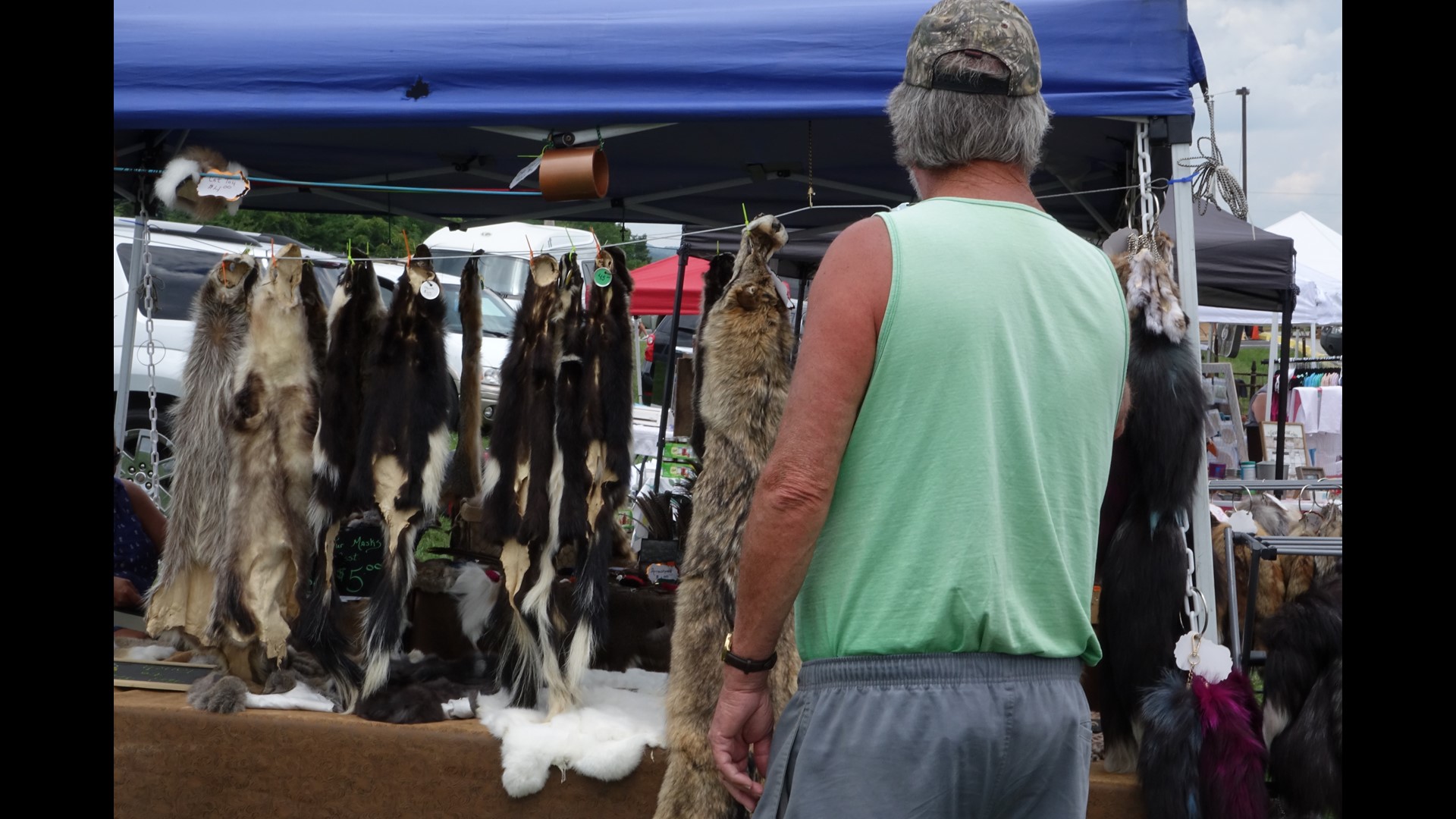 Maters, music and the infamous tomato wars at the annual Grainger ...