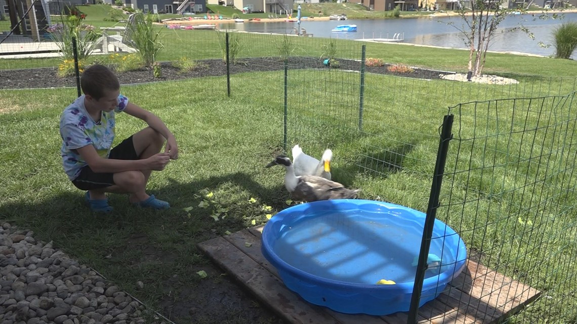 Boy with autism gets to keep therapy ducks | wbir.com