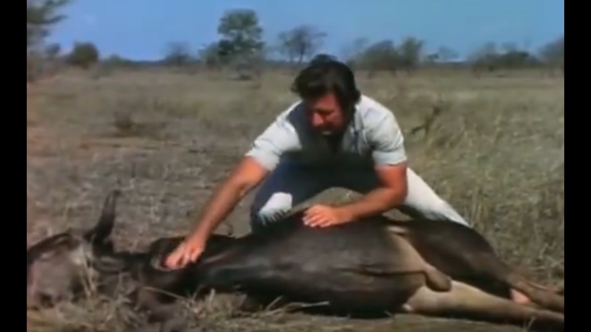 A life of global action and altruism: Remembering RAM founder Stan Brock | wbir.com