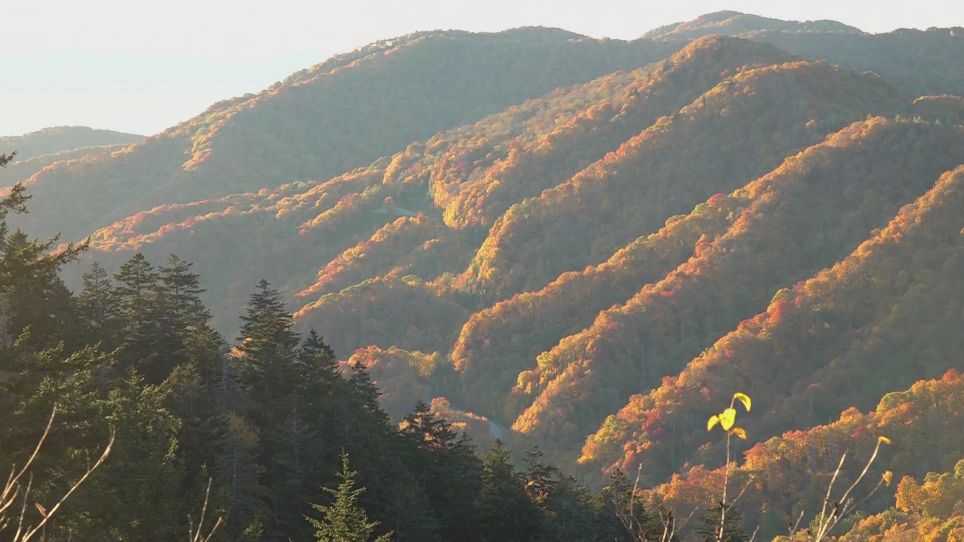 Enjoying the views from Charlies Bunion | wbir.com