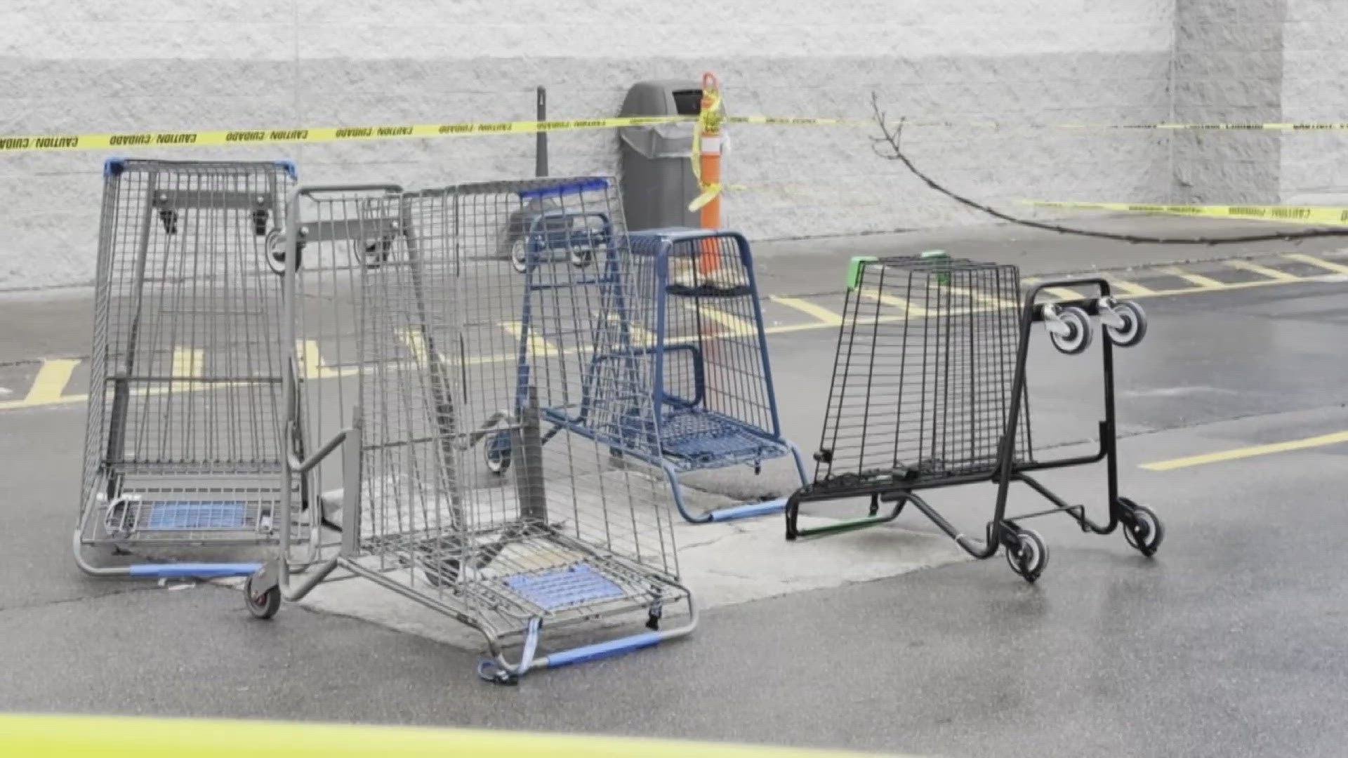 Dog electrocuted after stepping in puddle outside Clinton Highway ...