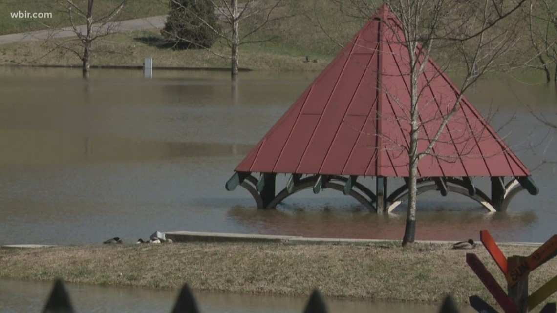 TEMA opens crisis cleanup hotline as flood response continues across ...