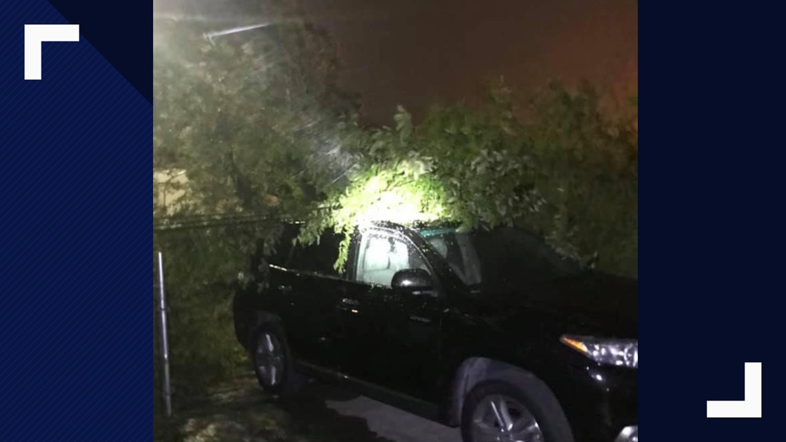 Storm damage seen across East TN following strong wind gusts early ...
