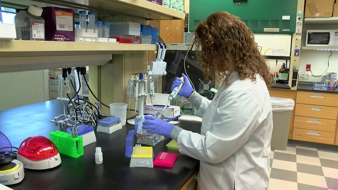 Breakthrough at St. Jude Children’s Research could help in ALS ...
