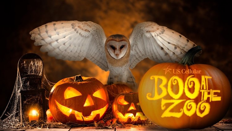 BOO! at the Zoo tickets now on sale | wbir.com