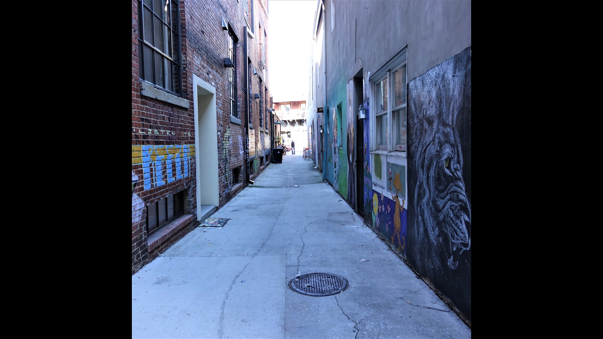 Downtown Vibes: A rising art scene in downtown Knoxville | wbir.com