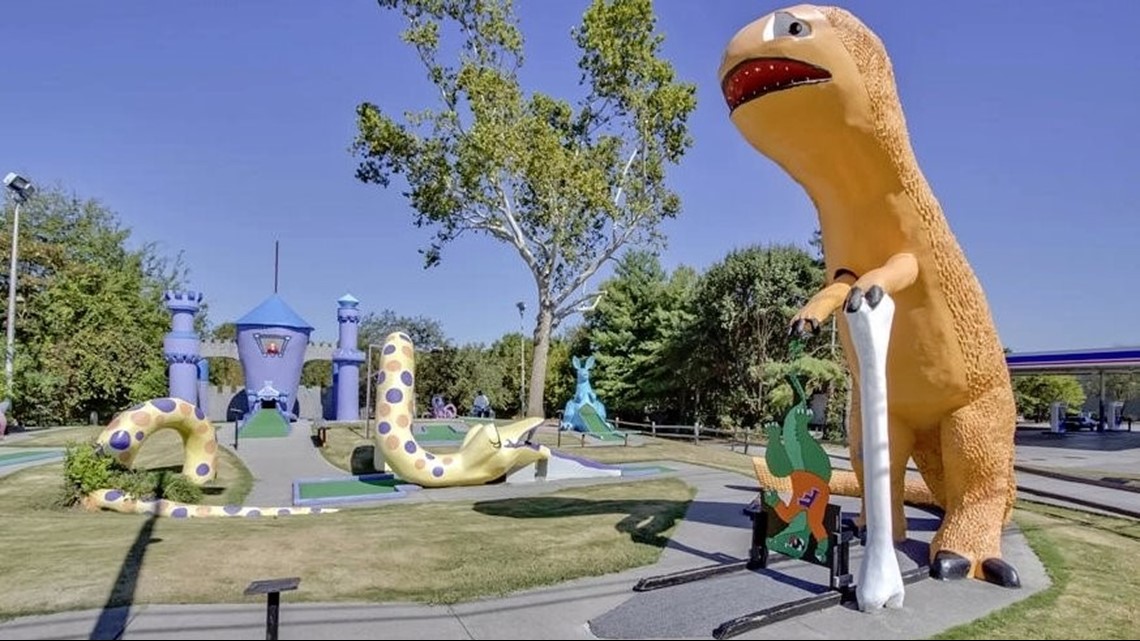 Sir Goony's Family Fun Center in Farragut up for sale | wbir.com