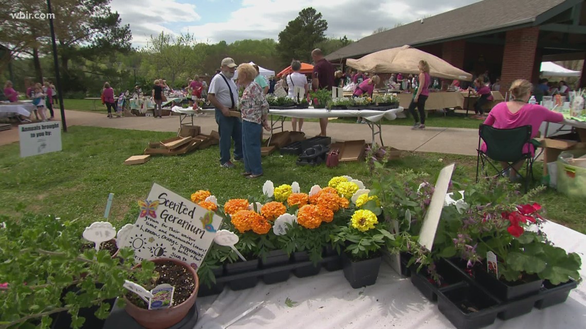 Talahi Plant Sale kicks off tomorrow at Lakeshore Park | wbir.com