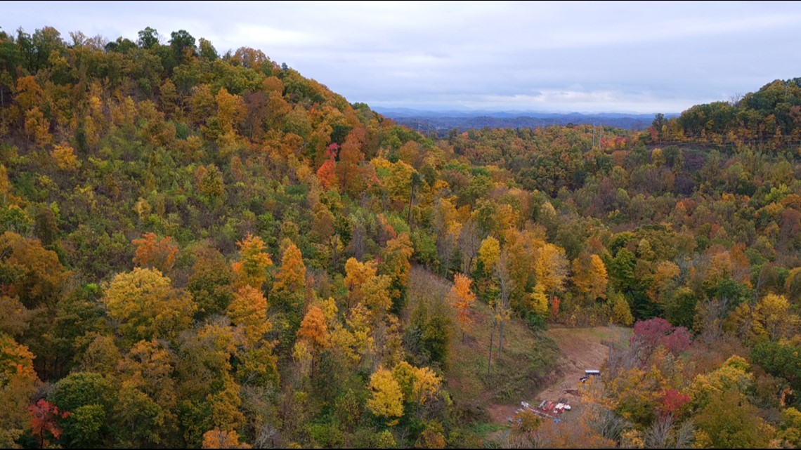 Discover the secret spots across East Tennessee to see fall foliage ...