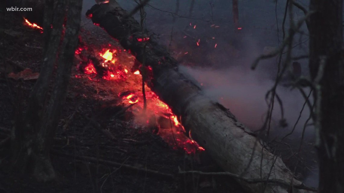 Anderson County crews contain one of two brush fires | wbir.com