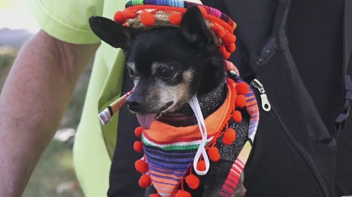 UT Gardens hosts 10th annual Howl-o-ween | wbir.com