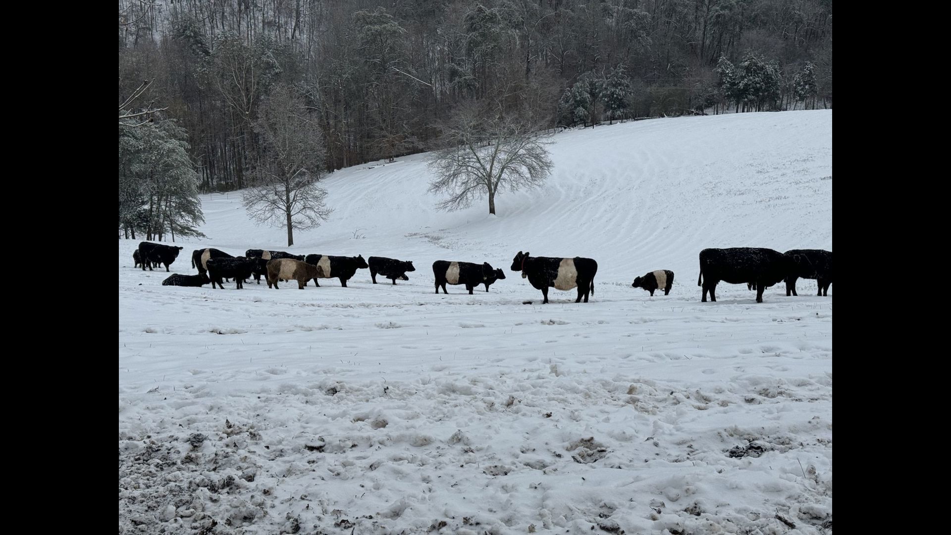 East Tennessee school closings for Thursday, Jan. 18 due to snow | wbir.com