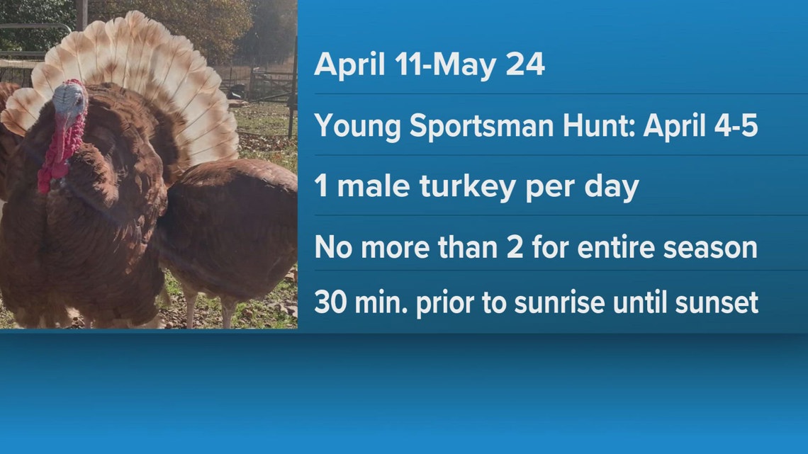 Spring turkey hunting season opens April 11 | wbir.com