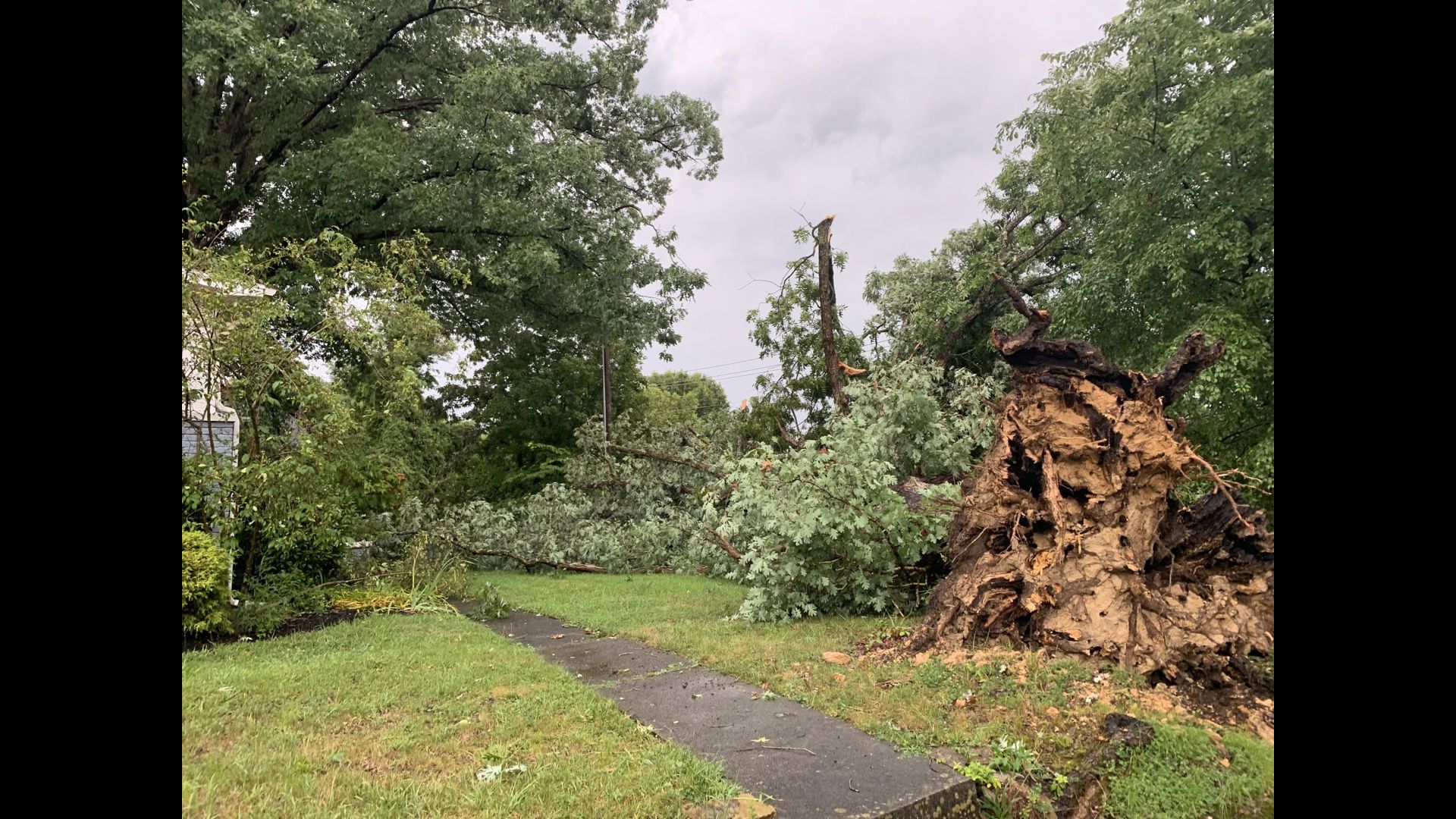 Gallery: Severe weather takes place across East Tennessee | wbir.com
