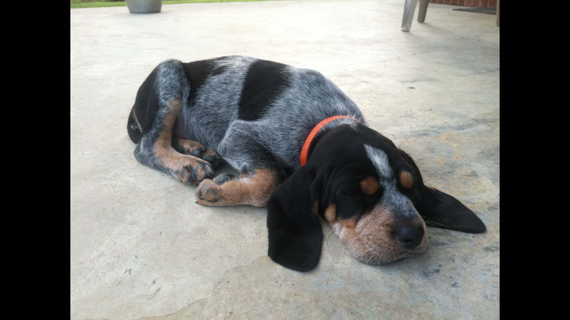 10 fun facts about Smokey | wbir.com