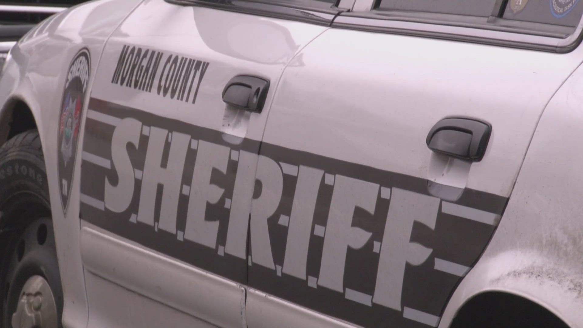 Tennessee agencies boost ICE partnerships in 2025 | wbir.com