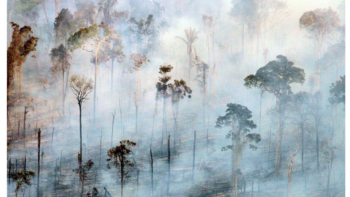 Outraged by pictures of the Amazon burning on social media? There are ...