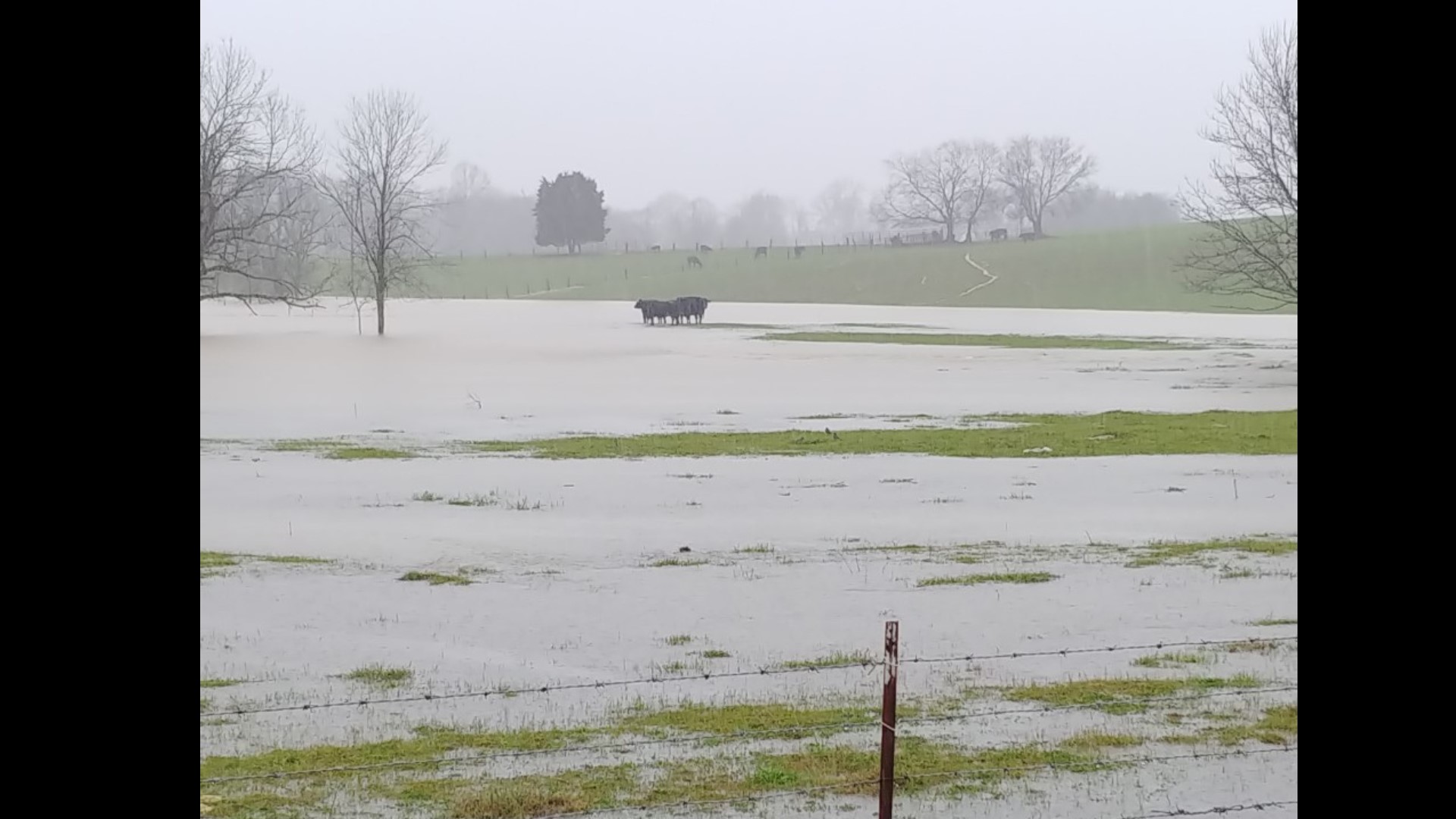 Flooding near me: where viewers are reporting floods in East Tennessee ...