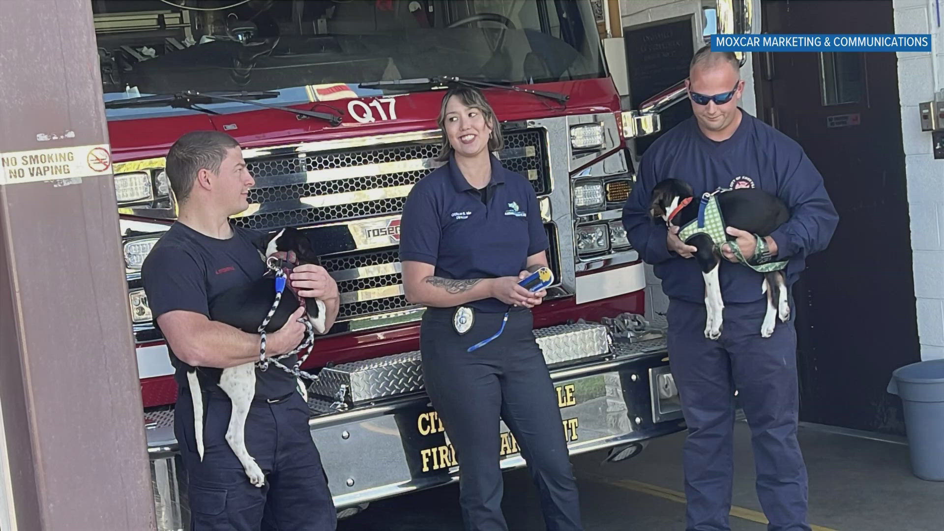 Knoxville fire stations equip microchip scanners for lost pets | wbir.com