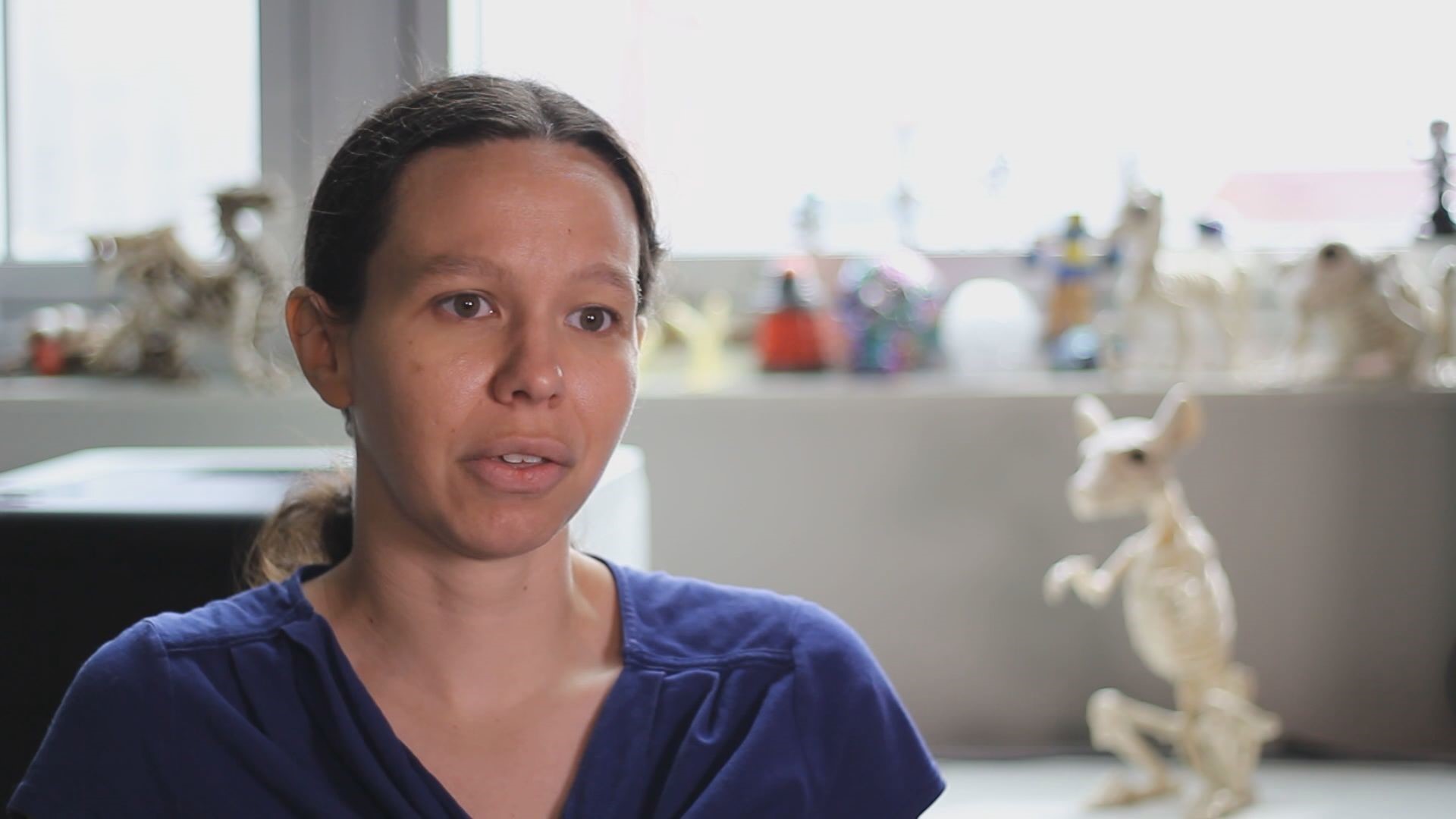 What goes on behind the locked gates of the Body Farm | wbir.com