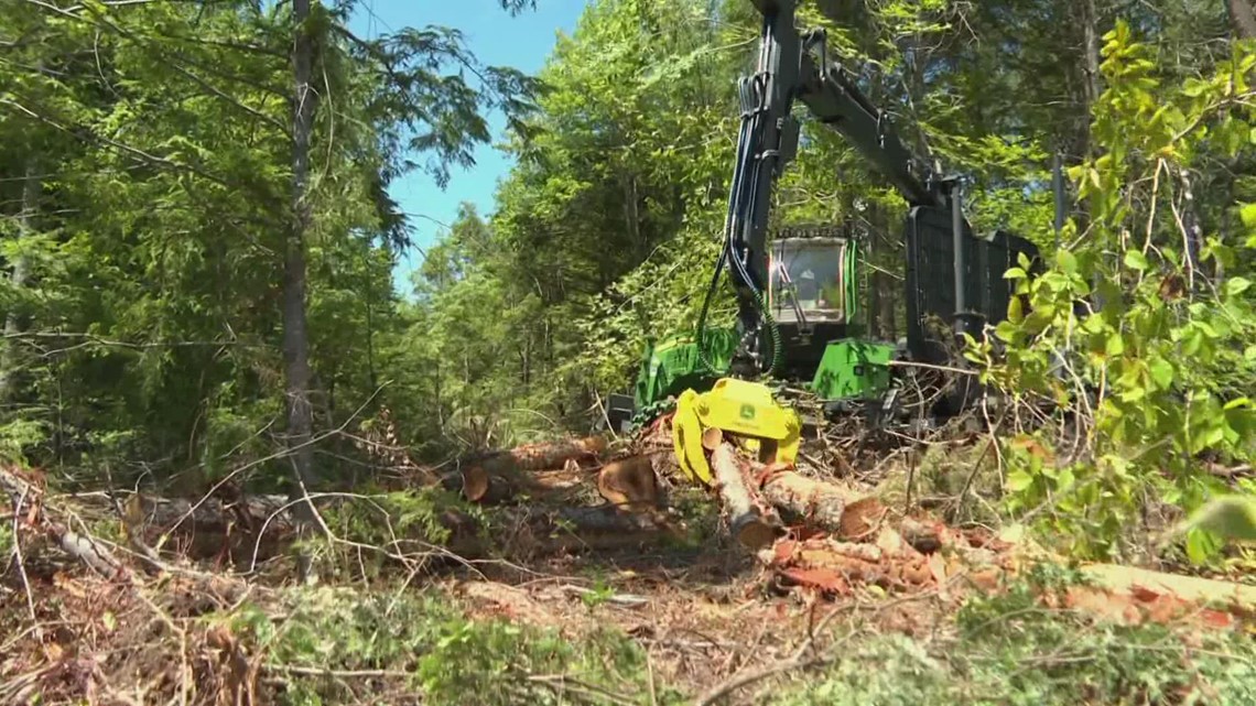 Jellico community is concerned about losing 10,000 acres of trees ...