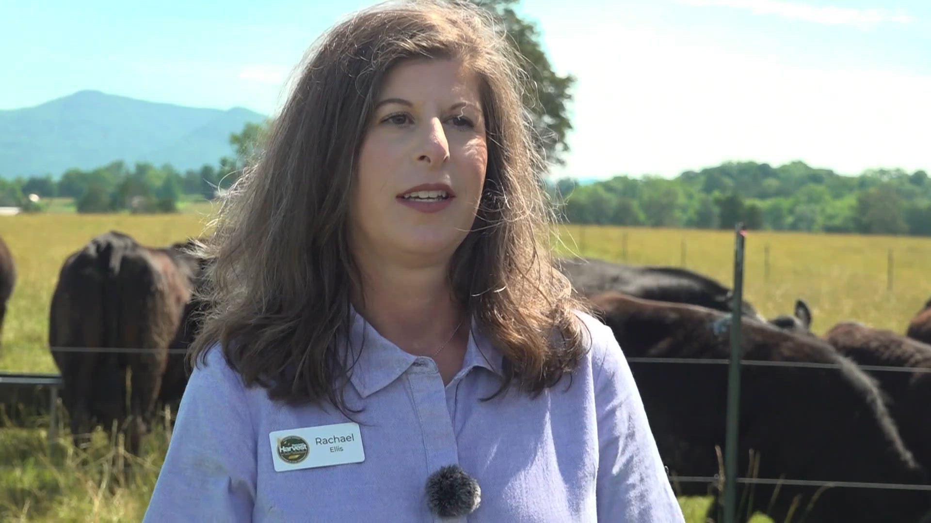 Second Harvest Food Bank appoints new CEO | wbir.com