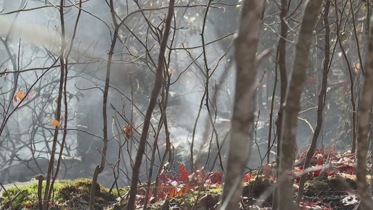 Burn bans and restrictions in place across East TN during wildfire risk ...