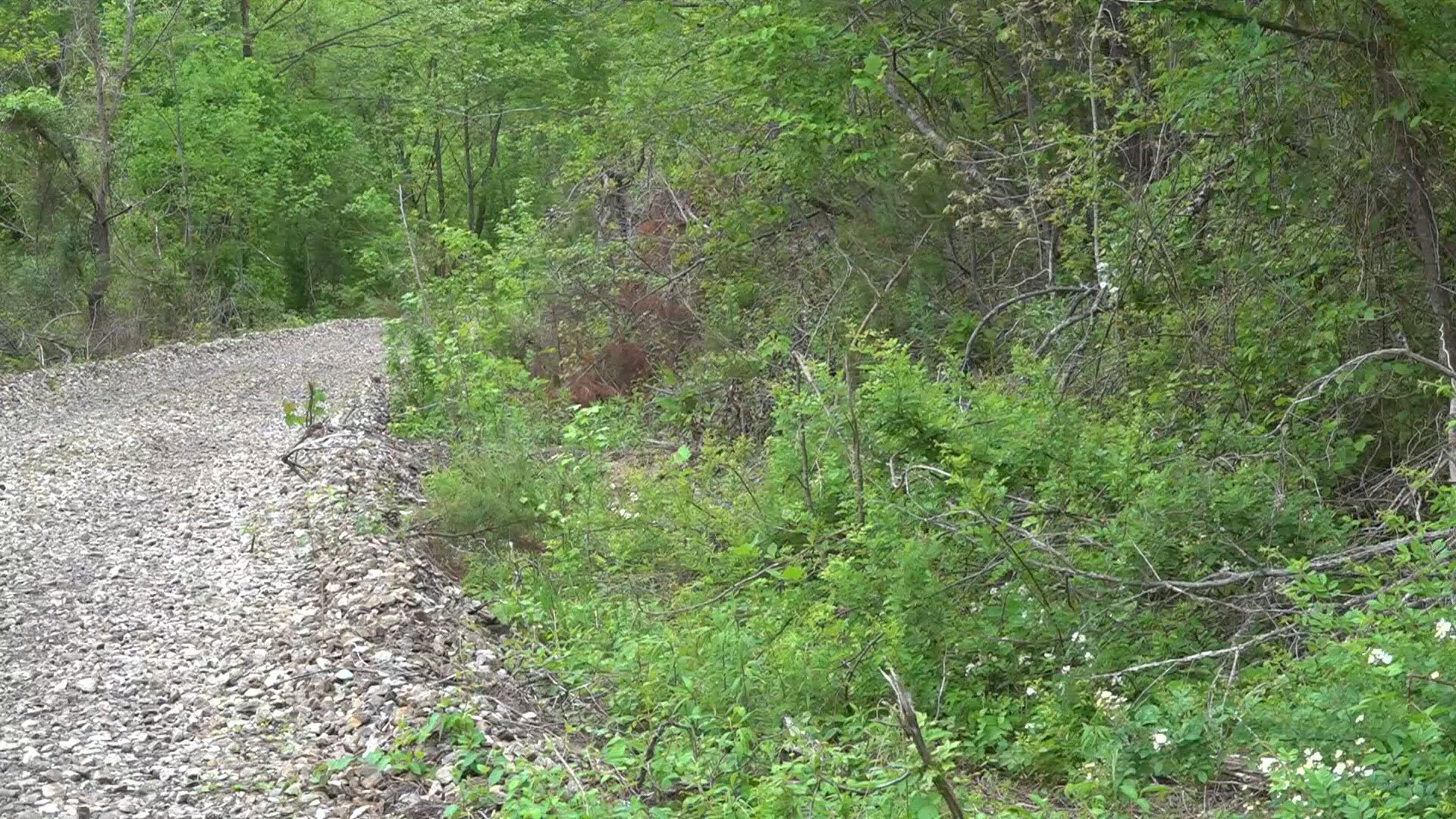 Agreement reached for 'Rails to Trails' project in Scott, Campbell and ...