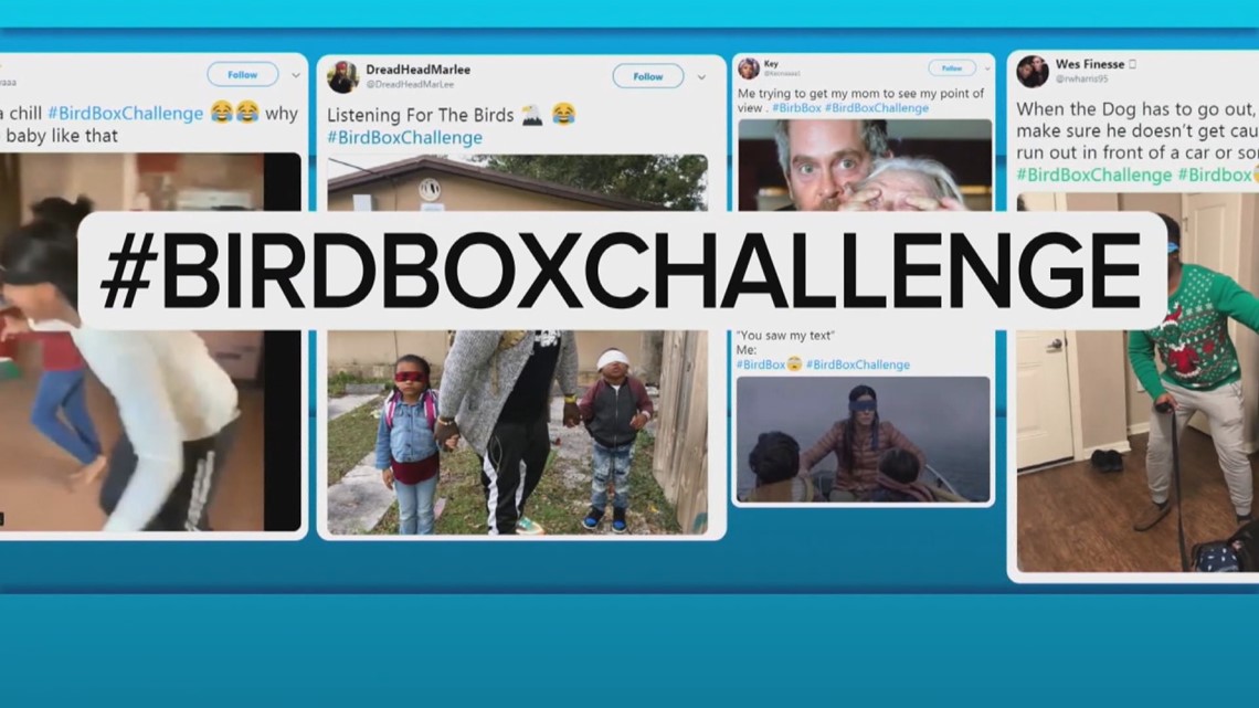 Blind community reacts to Bird Box Challenge | wbir.com
