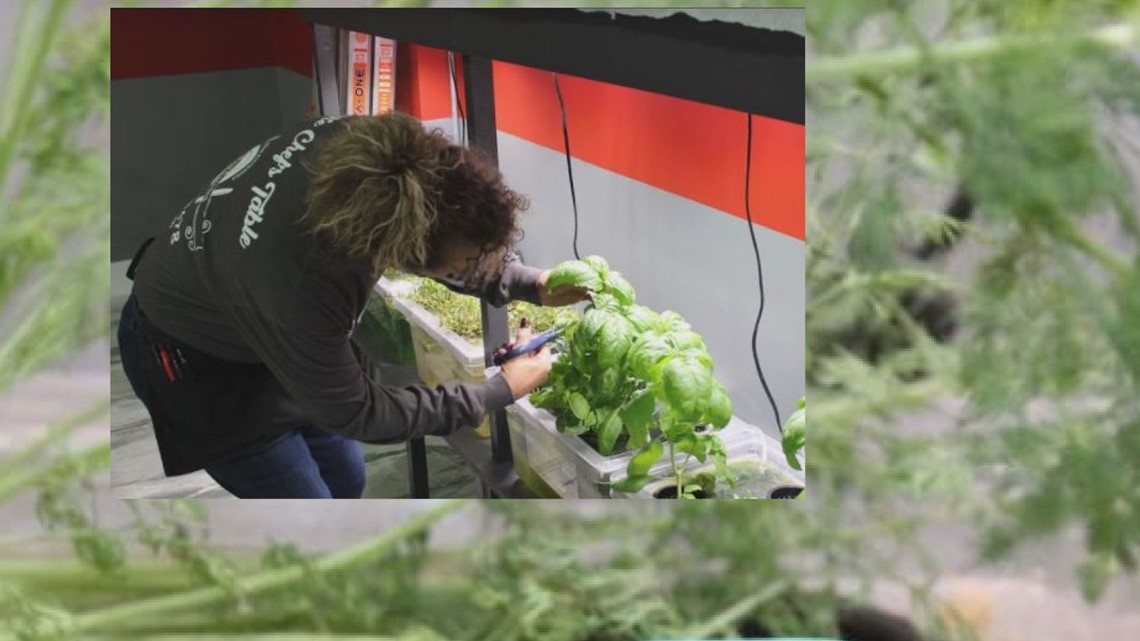 Hydroponic garden provides fresh ingredients at one restaurant | wbir.com
