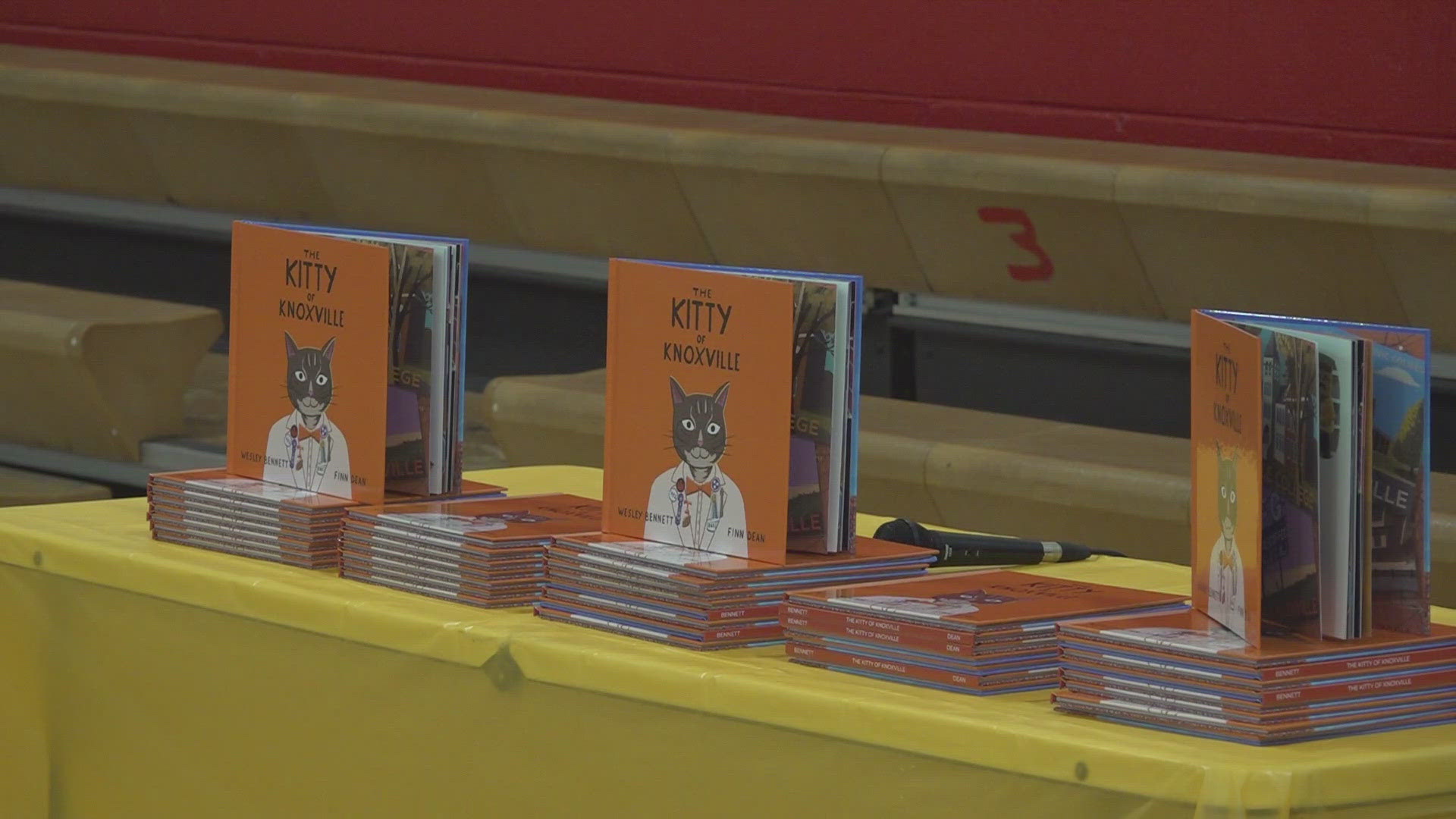 Knoxville native brings city pride to life through children's book ...