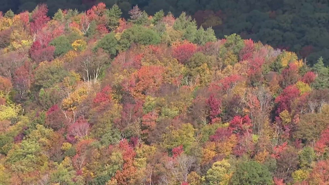 Discover the science behind fall's vibrant leaf colors | wbir.com