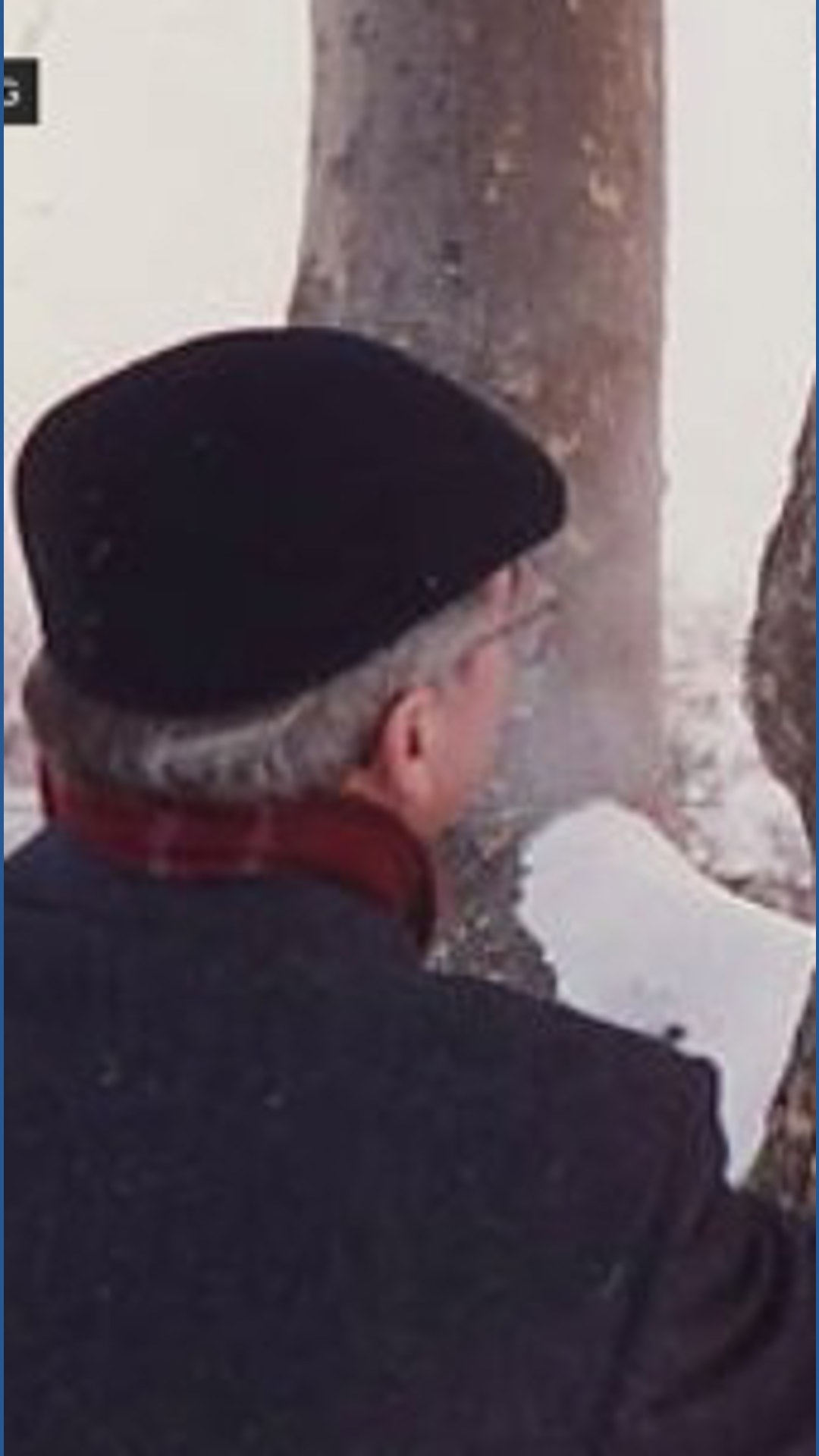 What are "exploding trees" and how do they happen in the cold air ...