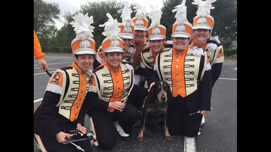 Meet Smokey on Saturday when UT unveils 10 statues in his honor | wbir.com